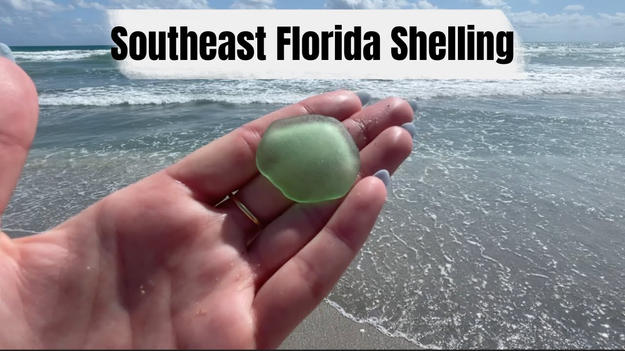 Two locations of shelling in one day! - YouTube