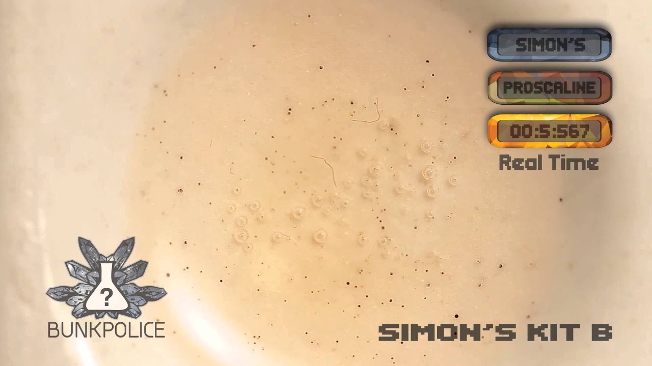 Proscaline - Simon's Reagent - Normal Test Kit - Bunk Police - YouTube