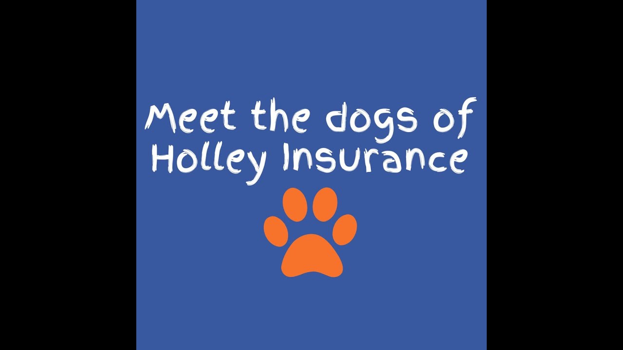 Meet the dogs of Holley Insurance! - YouTube