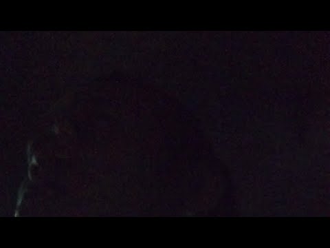 Ctp Shipping Line Corp - YouTube