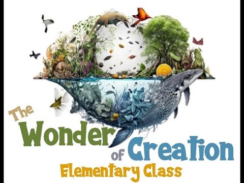 Elementary Class | Created To Worship | The Power Of The Creator - YouTube