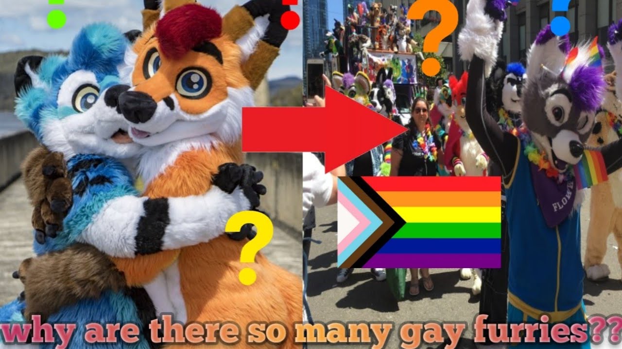 why are there so many gay/LGBTQ furries in the furry fandom? - YouTube