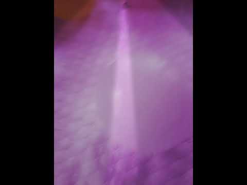 Kalbimi alıp gelmedin