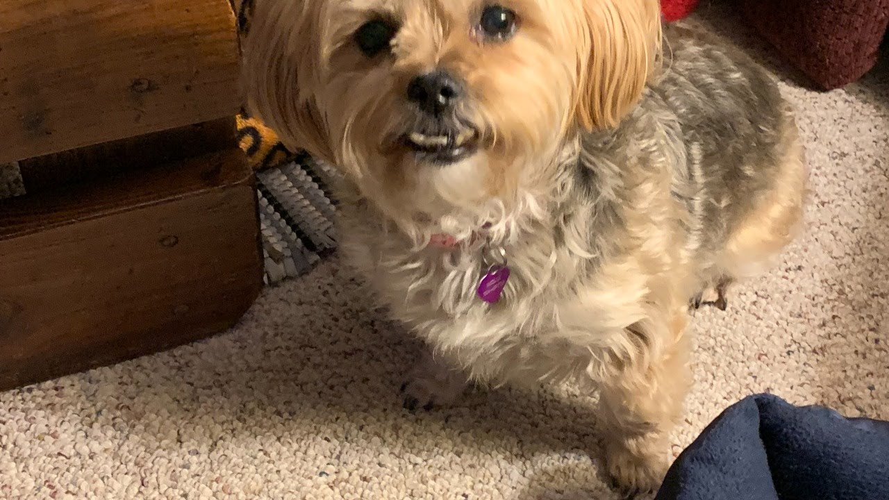 True crime including Summer Wells, Orrin Orson West, Kyron Hormon ...