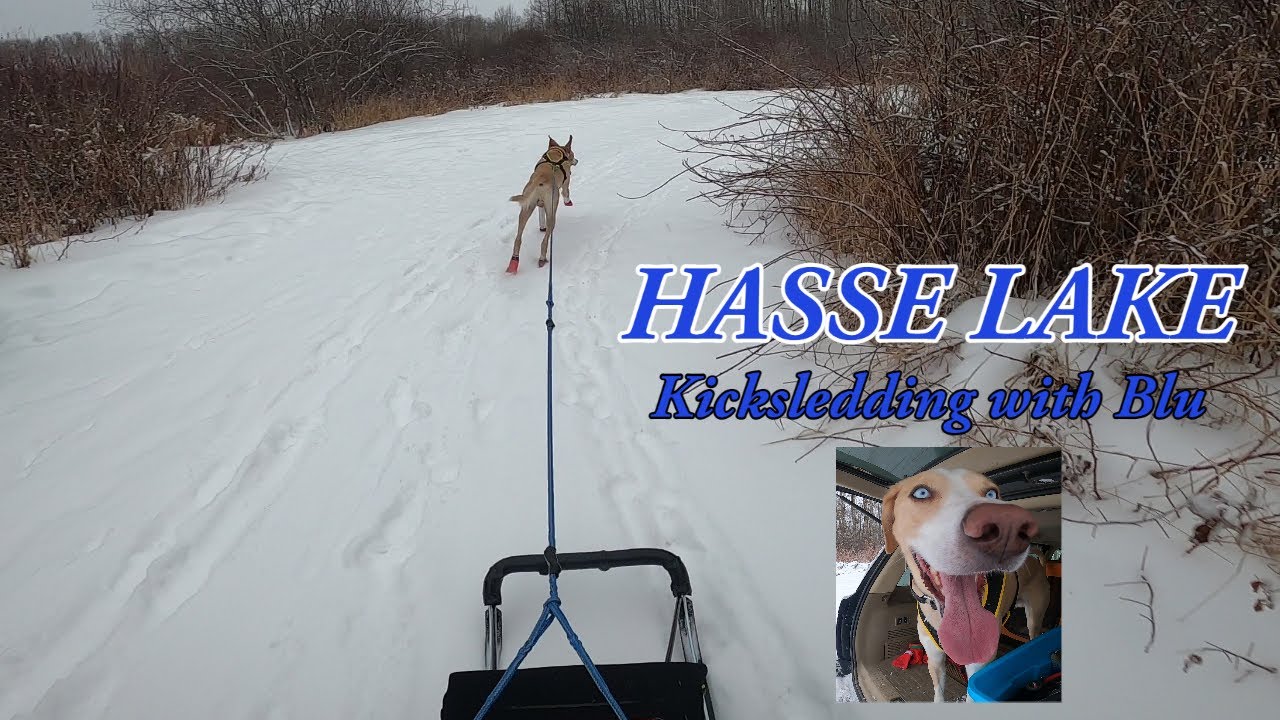 Hasse Lake Trails - with BLU - YouTube