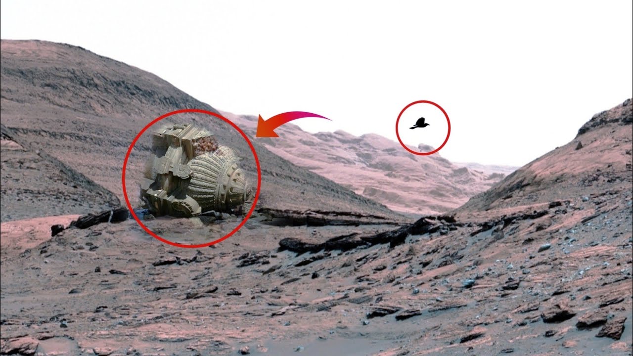 Mars Perseverance Rover Captured New 4k Stunning Video Footage Of Mars ...
