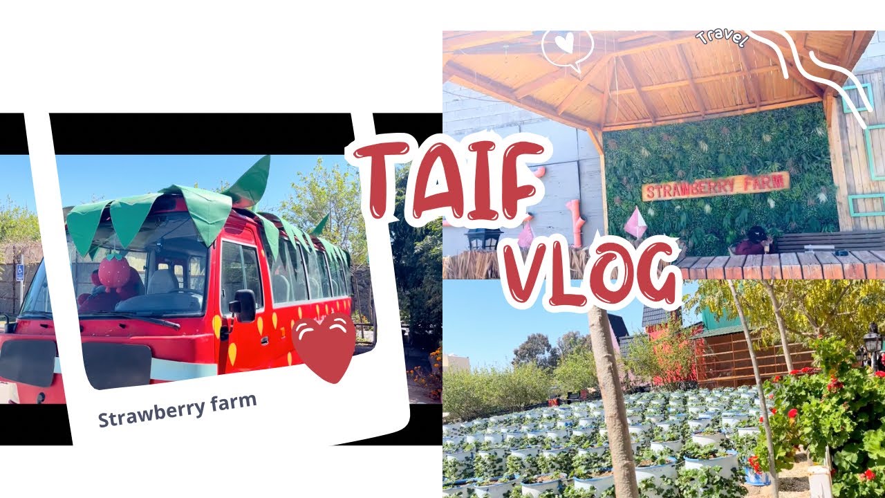 Strawberry farm -Al Hada Taif -Saudi Arabia - YouTube