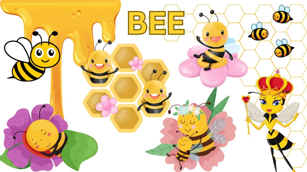 Bee vocabulary | Bumble Bee| Honey Bee | Bee Words in English | Bee ...