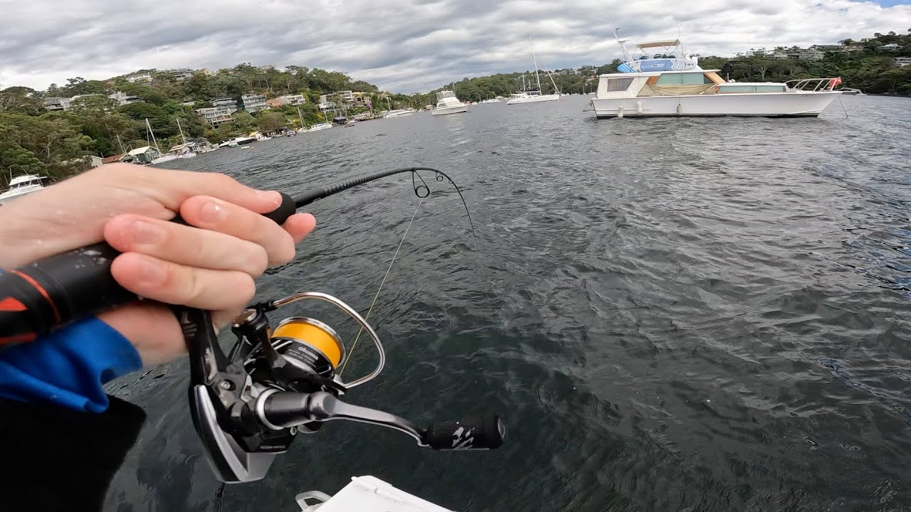 Light gear jigging || Jigging for pelagics Sydney|| - YouTube