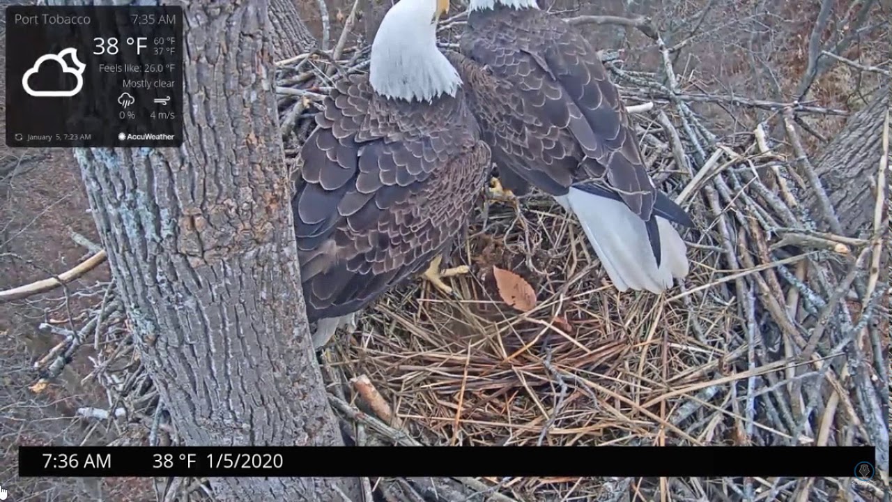 A Double Pronged Approach - YouTube