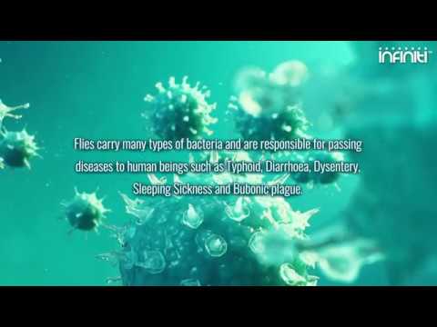 The development of Infiniti™, Synergetic’s first flylight with a UV LED ...