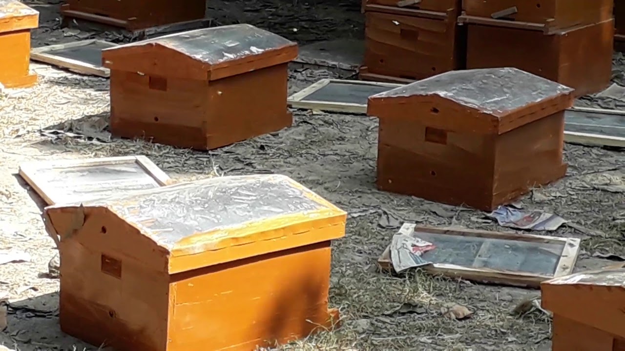Bee keeping production unit - YouTube