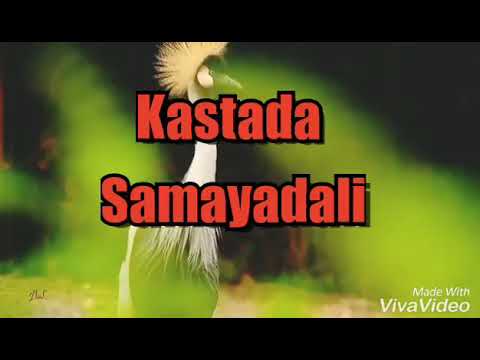 Mosagathi song Dj(2) - YouTube