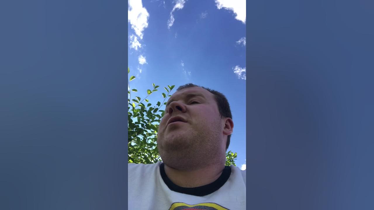 Purussaurus vs titanoboa - YouTube