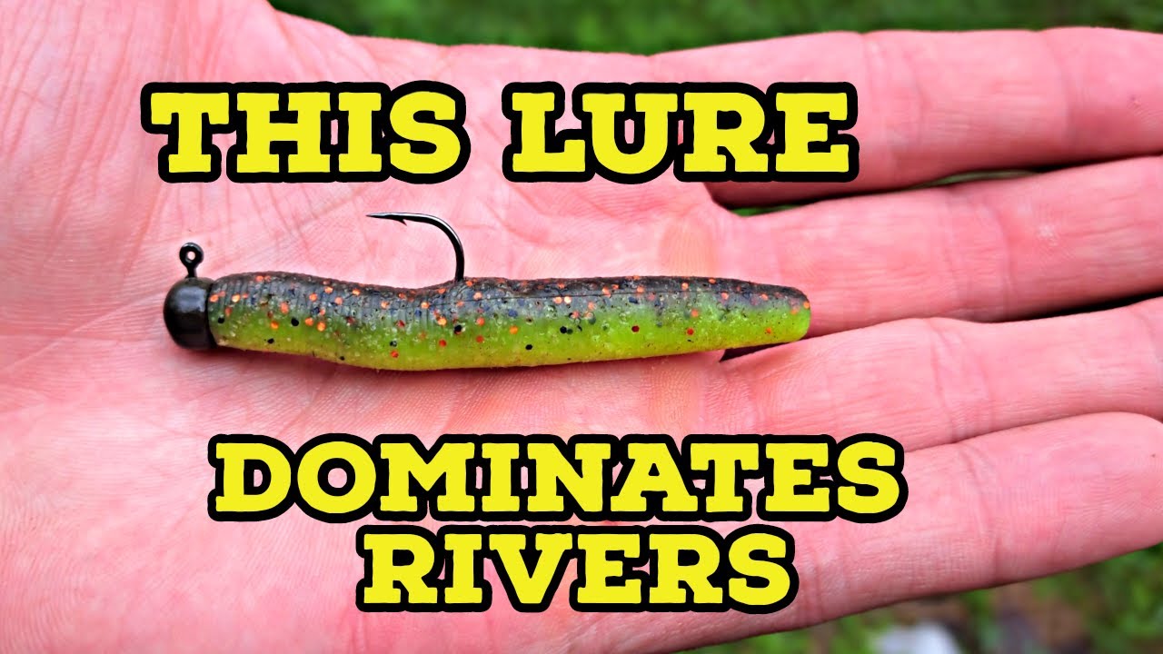 MUST have lure for RIVER FISHING (NED RIG ADVENTURE) - YouTube
