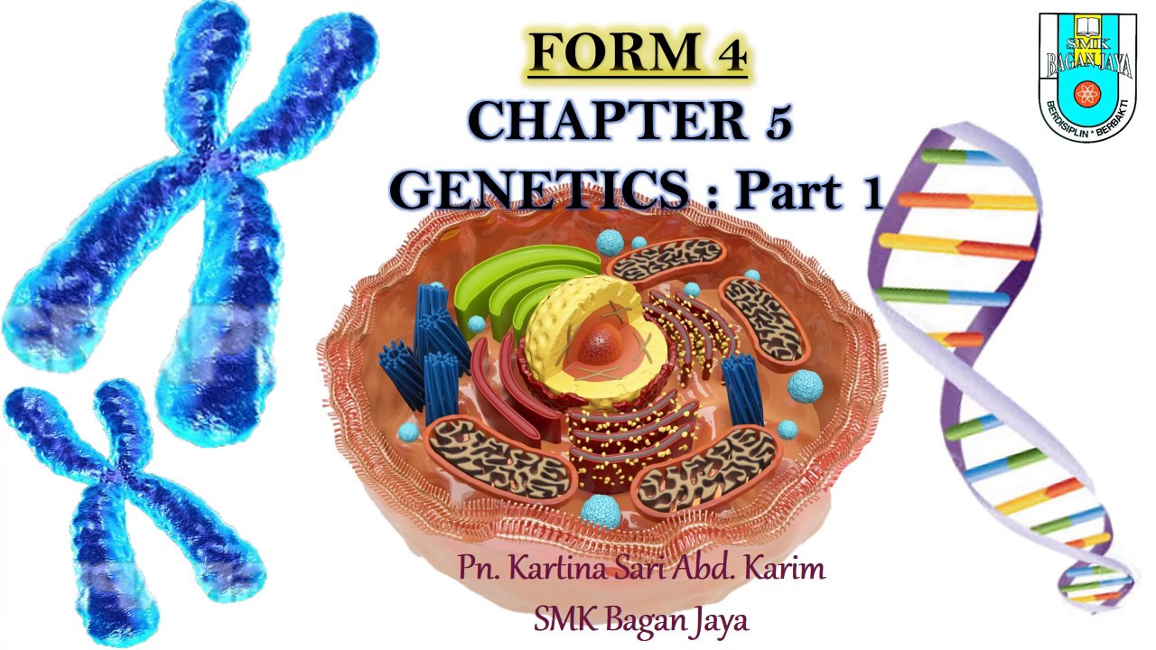 GENETICS FORM 4 PART 1 - YouTube
