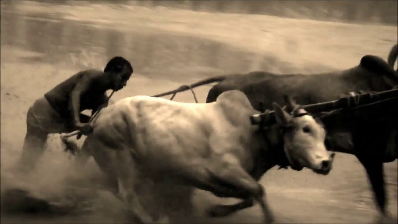 Kalapoottu The Festival of exitement - YouTube