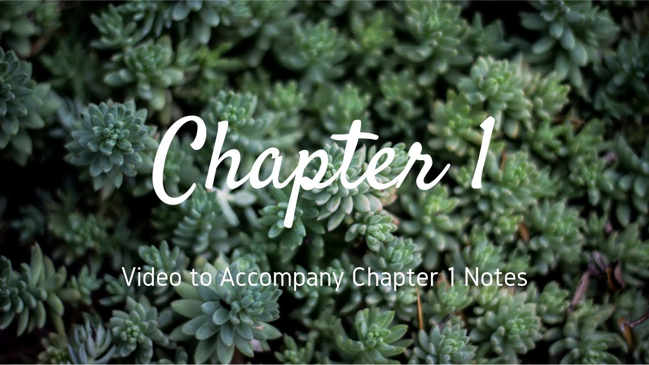 Chapter 1 - YouTube