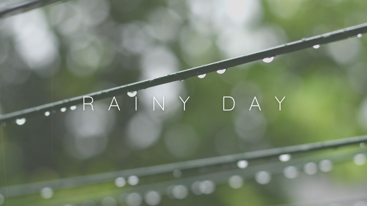 A Rainy Day | 4K Short Nature Cinematic | 50mm - YouTube