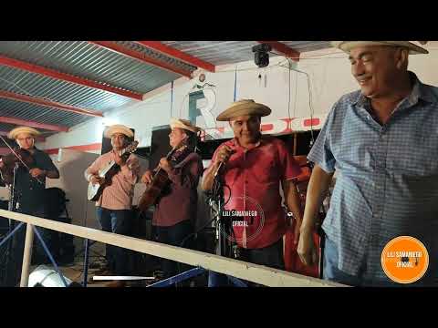 Lili Samaniego, Merejo Aparicio, Rubén Moreno, Raquelita Castillo. El Roble, Hnos Rodríguez, 2026.
