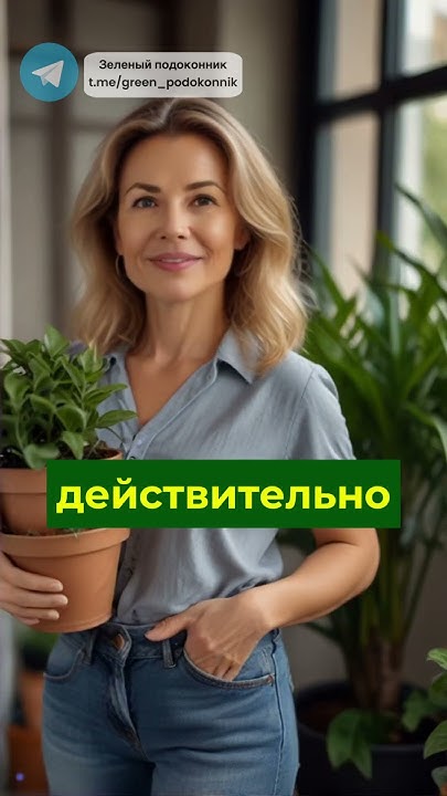 Можно ли кормить цветы сахаром🫣 цветы сад дача растения сахар