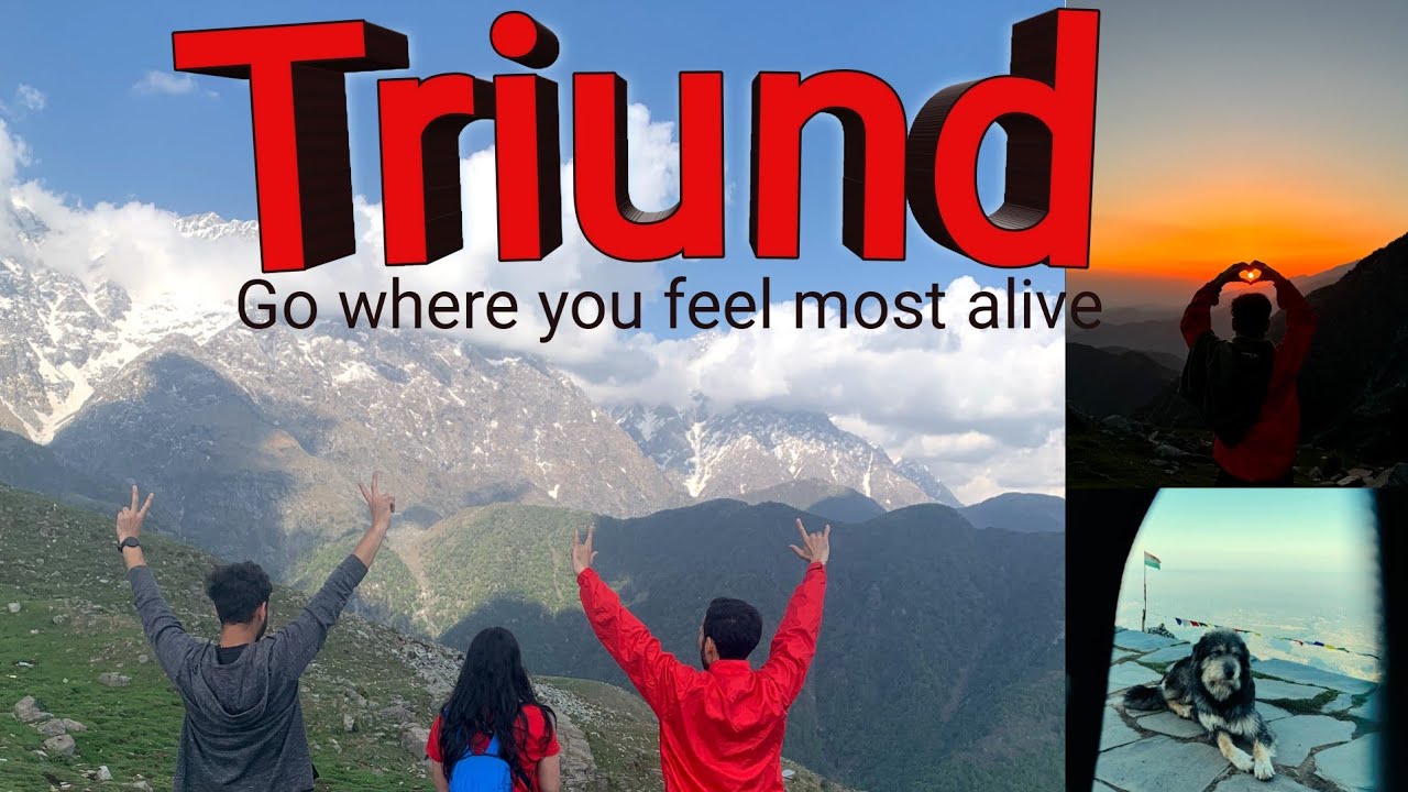 Magnificent view of Triund Trek | Himalayas | Dhauladhar | Snow ...
