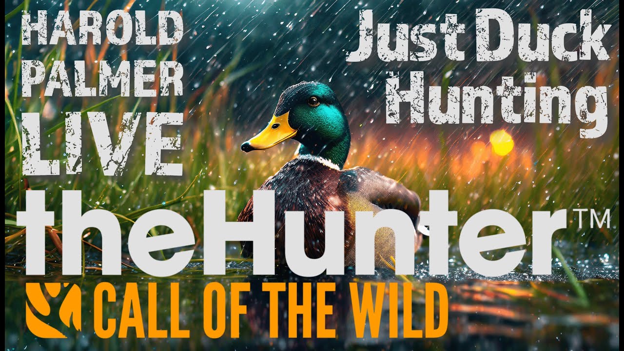 Monday Shoot - Just Duck Hunting - YouTube