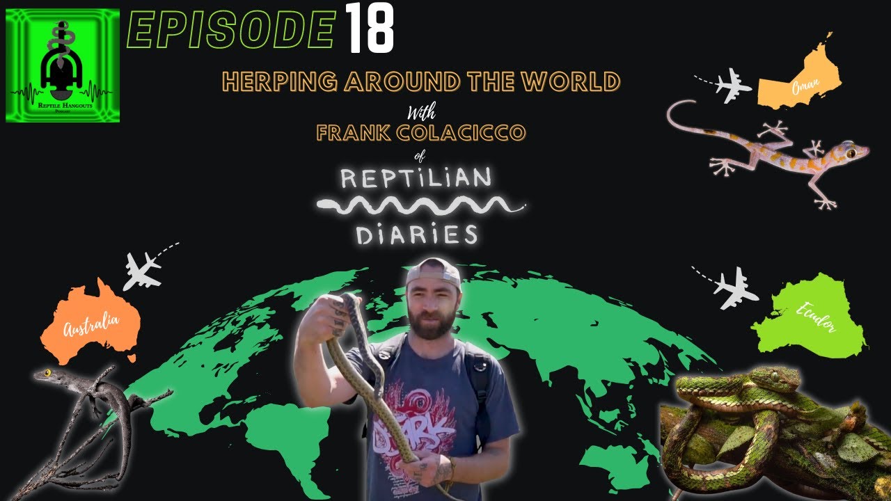 Reptile Hangouts Podcast Episode 18: Herping around the world with ...