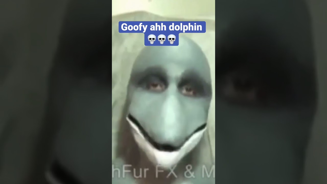 Goofy ahh dolphin 💀💀💀 #goofyahh - YouTube