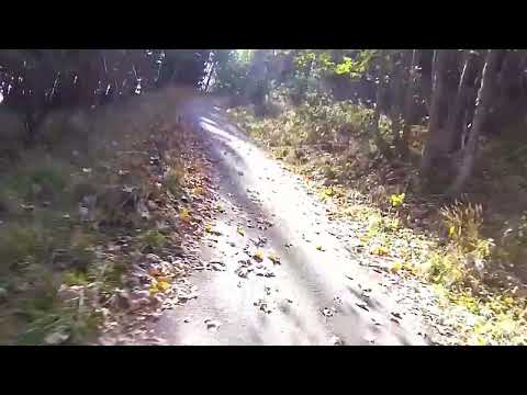 Da Mione al Passo della Forcella