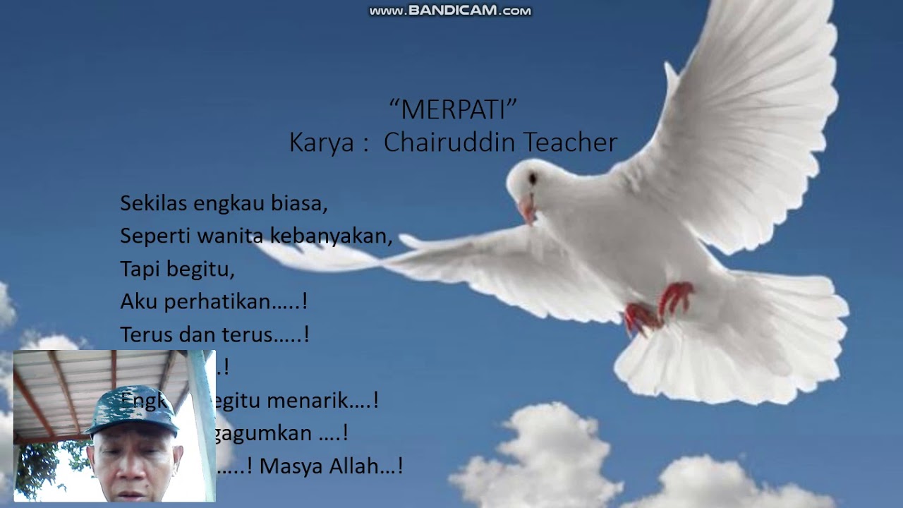 PUISI BERJUDUL " MERPATI" KARYA : CHAIRUDDIN TEACHER - YouTube