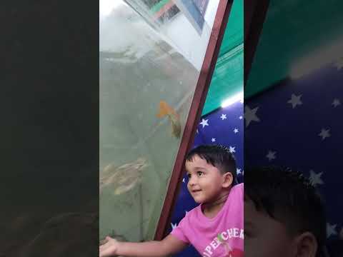 exhibition lo fish aquarium chala bagundi.satya mastu enjoy cheysadu ...