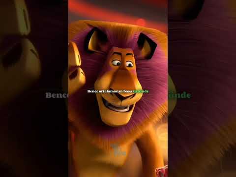 Uzun süre iltifat almayınca ben: Madagaskar 2  (2008) #madagascar #animasyon