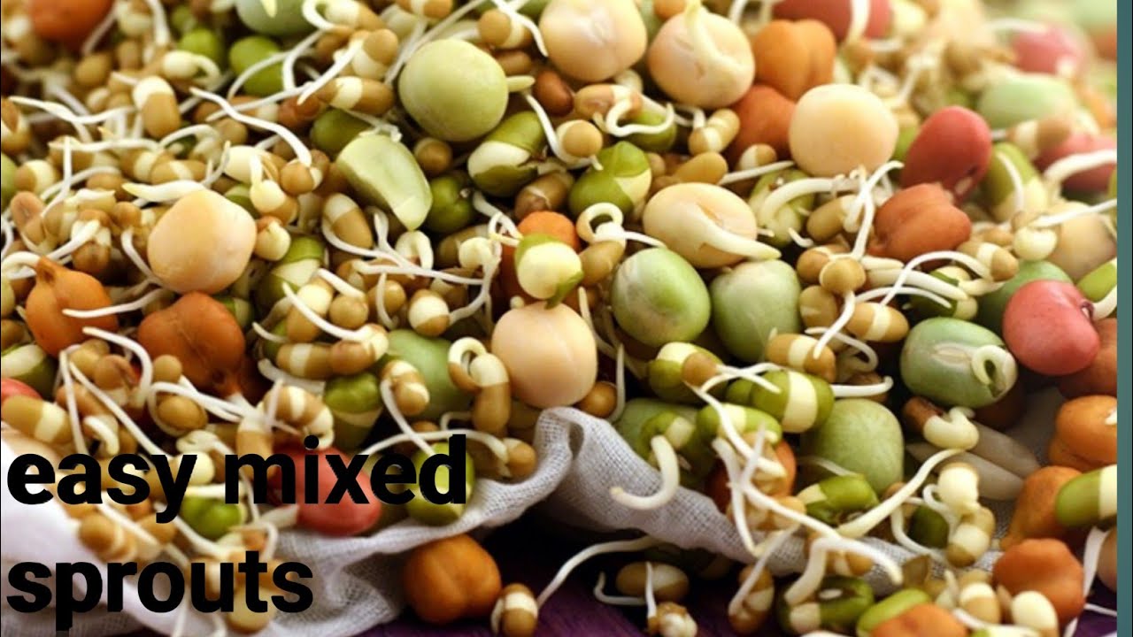 how to make mixed sprouts || making sprouts in easy way #sprouts # ...