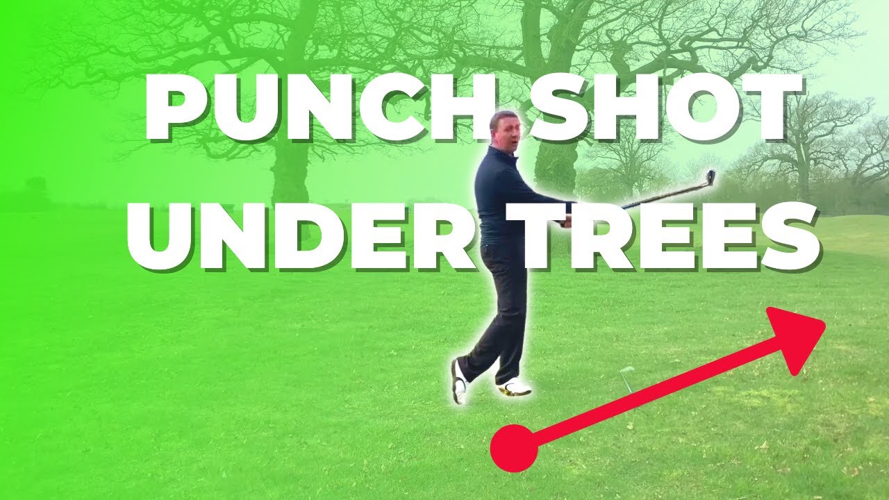 HOW TO PLAY A PUNCH SHOTS UNDER A TREE, - YouTube