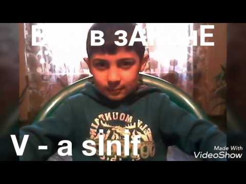 V a sinifi 2