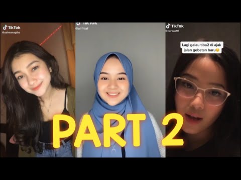 PENYEGAR TIMELINE 😍 !!! KOMPILASI TIKTOK INDONESIA #2