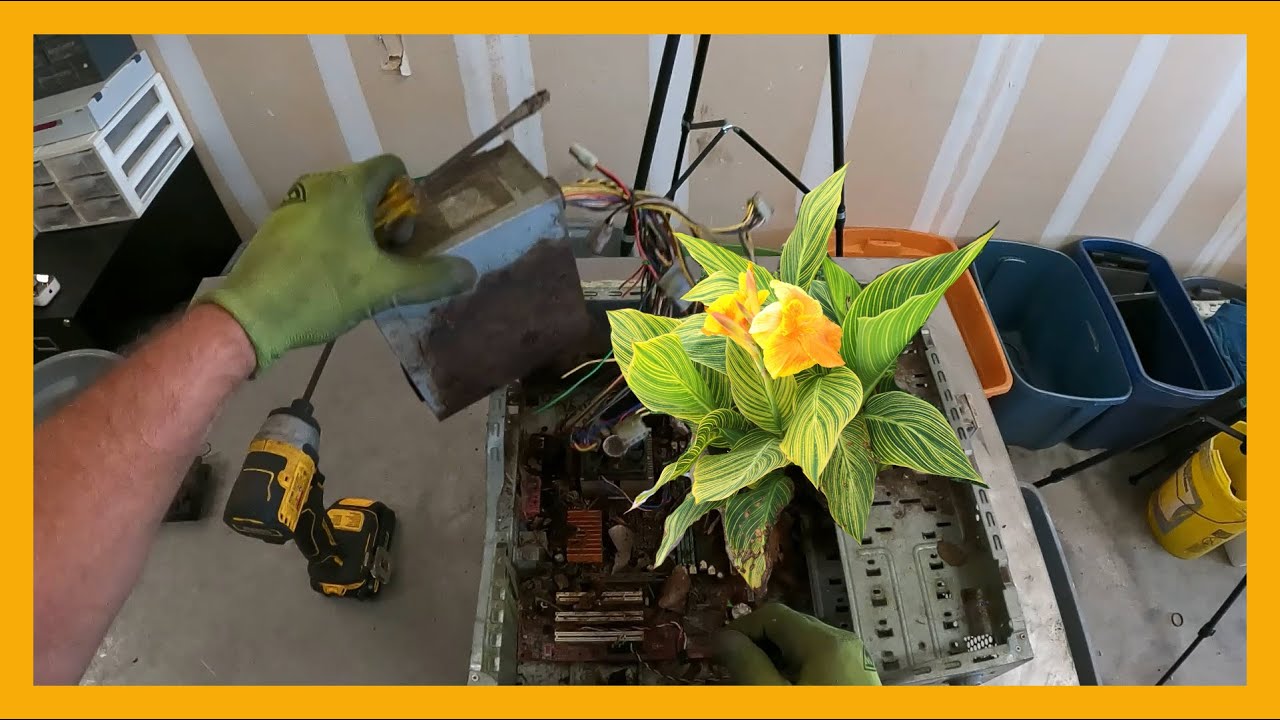 Computer Scrapping - Green fibre CPU - NOT a planter - Wednesdays Bite ...