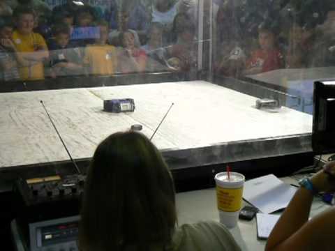 02 Misdirected Aggression VS Weta - YouTube