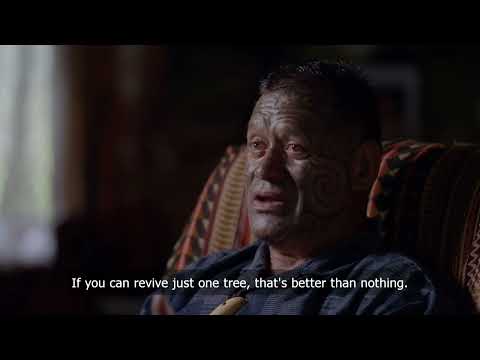 WAKA HUIA - RONGOĀ FULL EPISODE