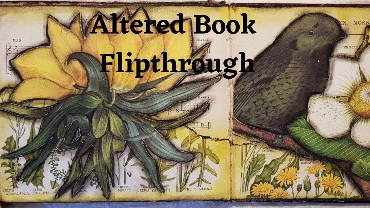 Altered Book Flipthrough Now With More Birds - YouTube