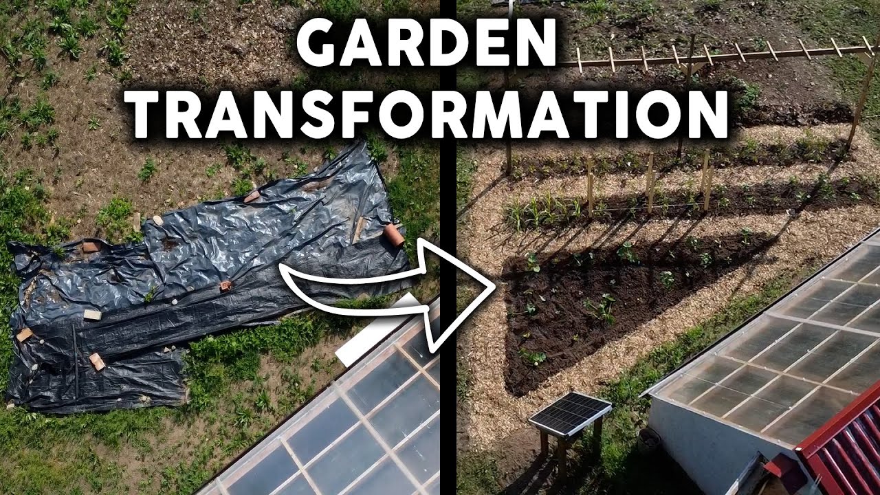 Garden Transformation Abundant Harvest Potential on Our Latvian ...