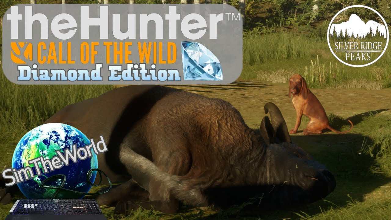 How to Find the Best Plains Bison Trophy! - Diamond Expedition ...