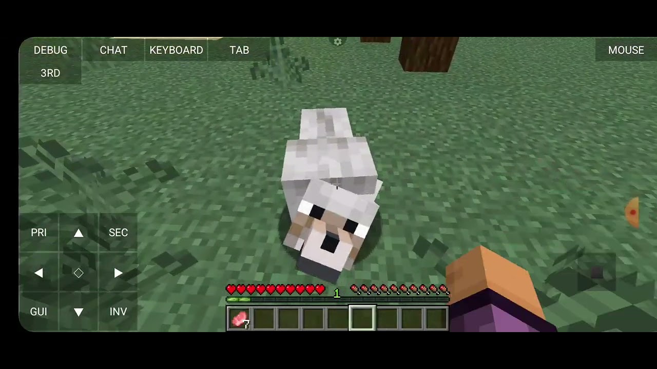 Playing minecraft java edition server.#episode-2 - YouTube