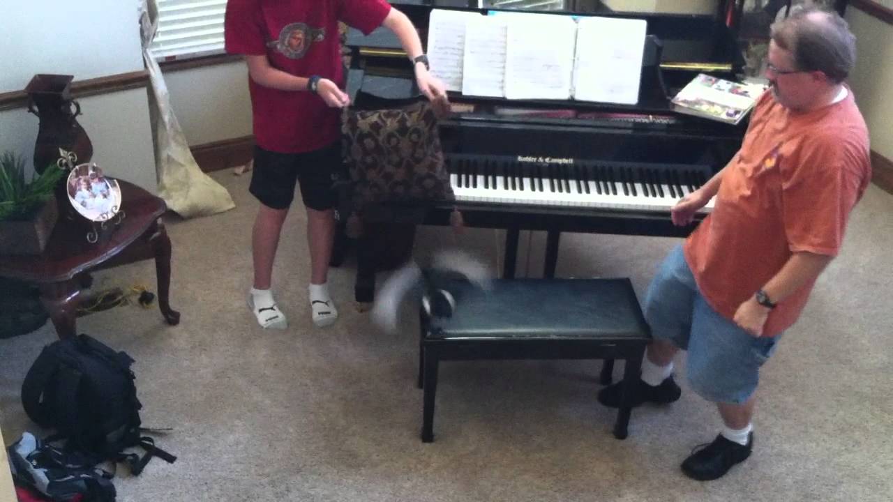 Bird Herding - YouTube