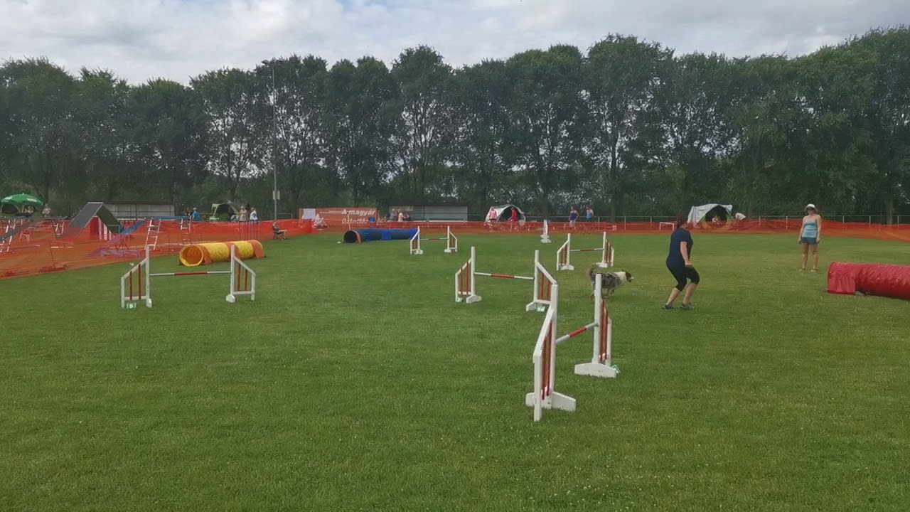 Bariguard Bound Energy "Bandy" - Smaragd Cup - YouTube