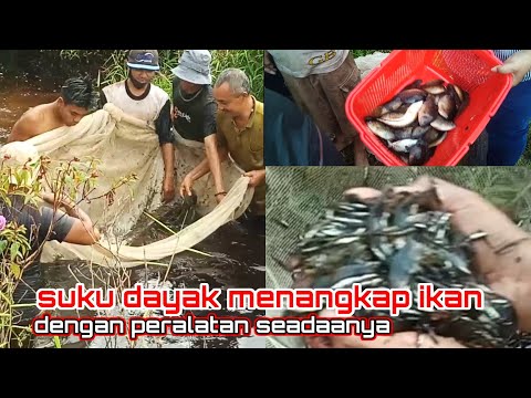 Menangkap ikan suku Dayak pedalaman Kalimantan