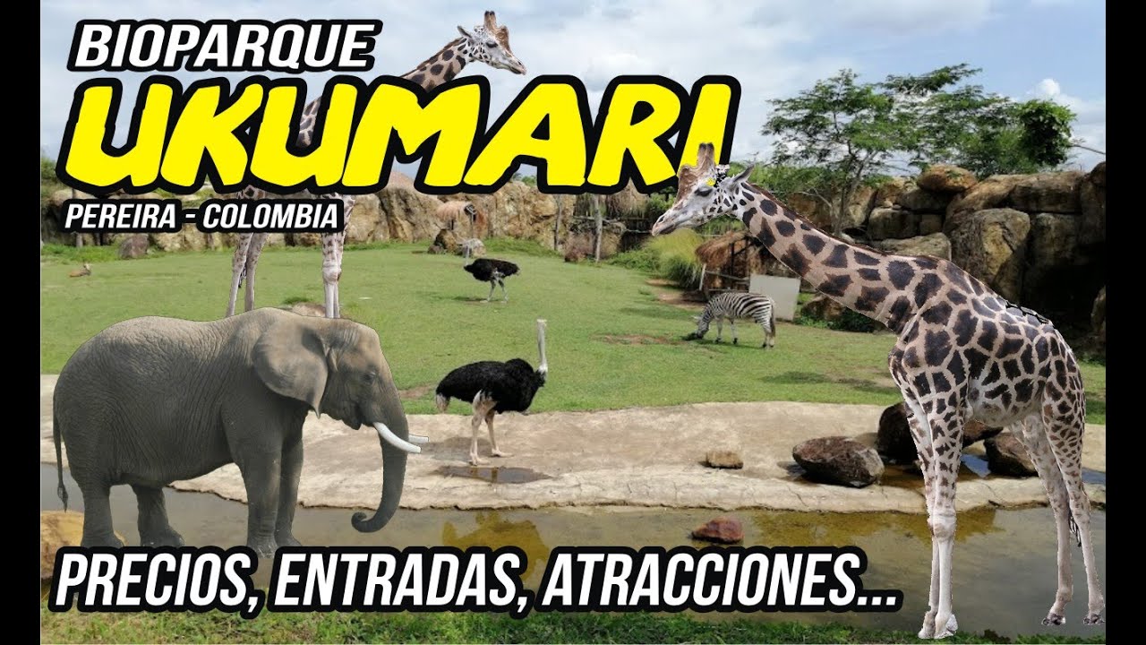Bioparque Ukumari Precios Horarios - YouTube