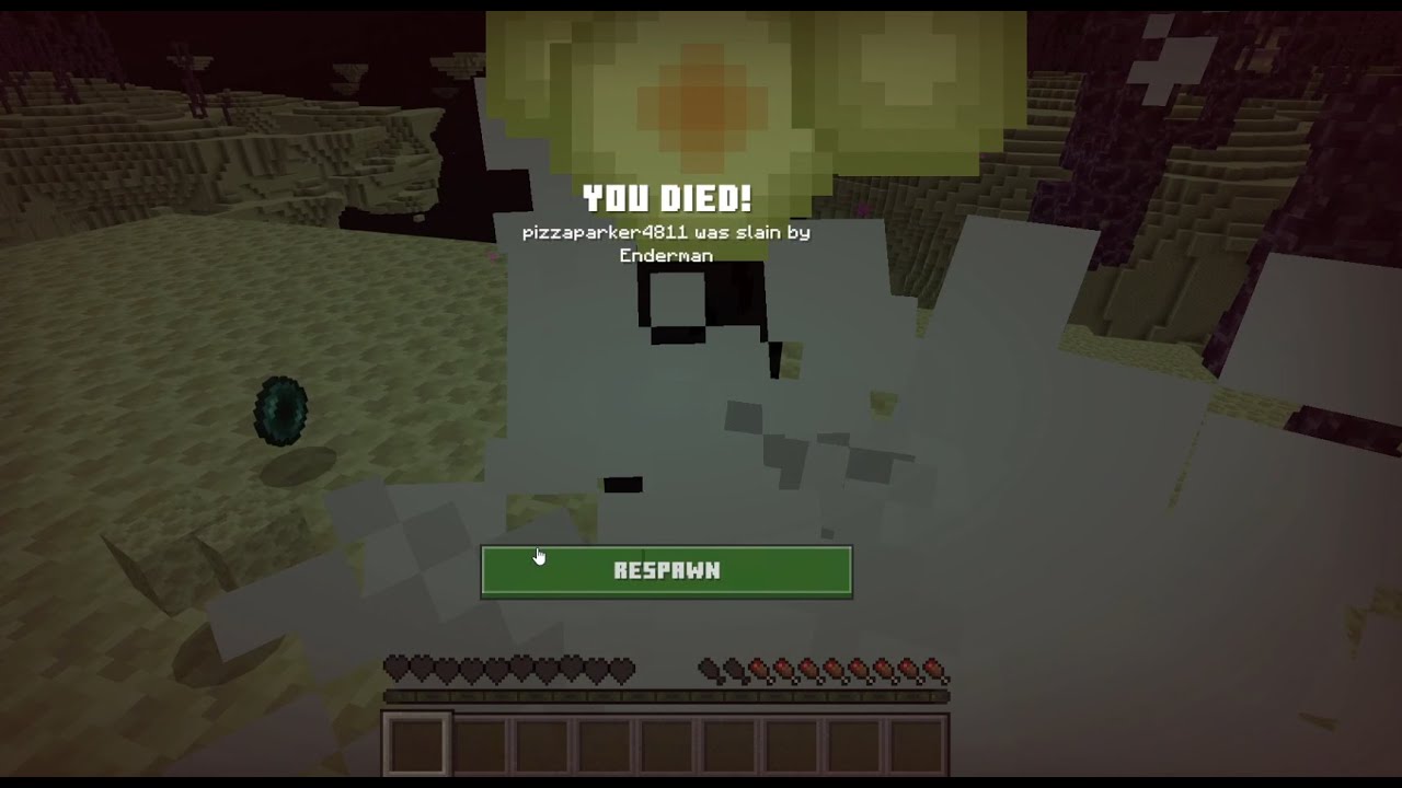 Death by Stupid - Minecraft: The End - YouTube