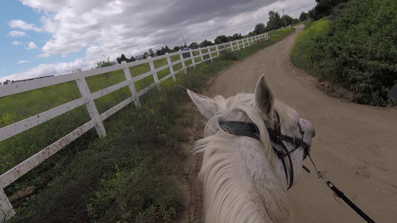 A nice ride - YouTube